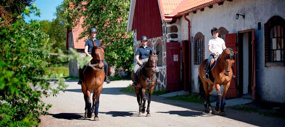 Studentflak I Svedala - grymstudent.se